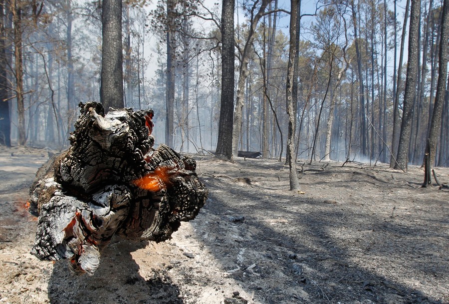More Texas Wildfires - The Atlantic