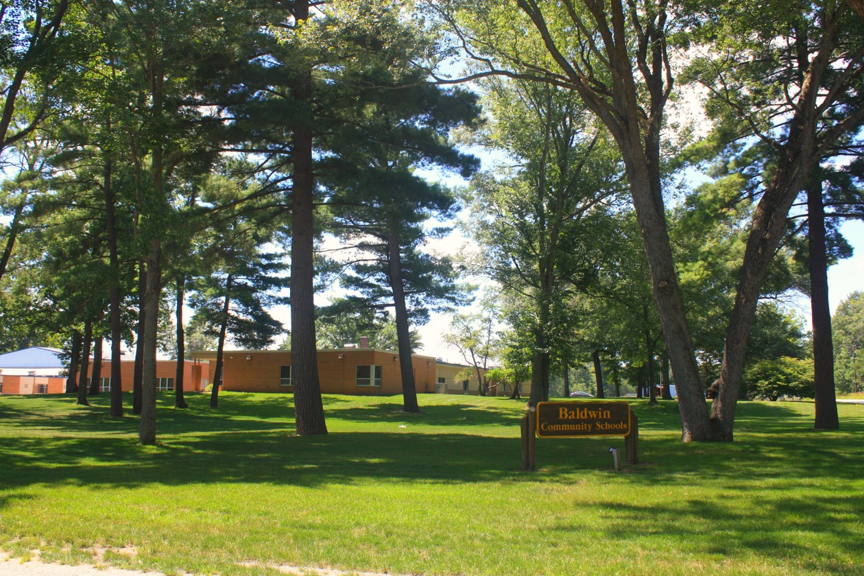 Baldwin, Michigan, Decided to Send Every Kid to College With ...