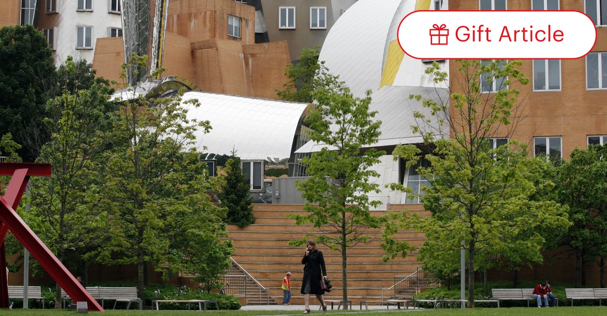 mit dorms comparison