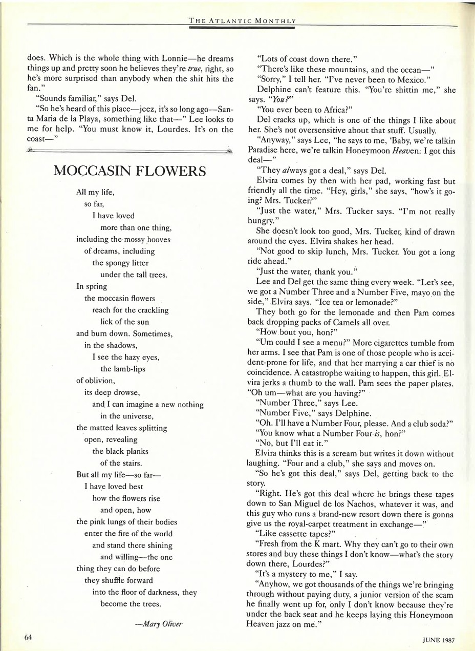 Mary Oliver Poems: “Moccasin Flowers” - The Atlantic