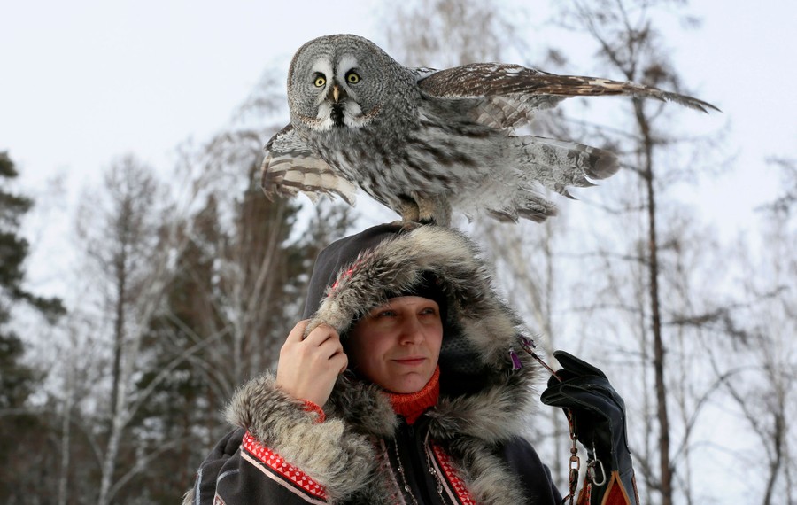 Photos: Superb Owl Sunday III - The Atlantic