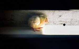 All Stories by Jonathan Moens - The Atlantic