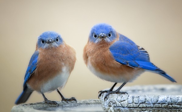 All Stories by Caleb Garling - The Atlantic