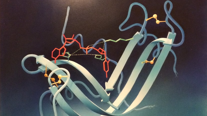 What Wikipedia Taught Me About My Grandfather - The Atlantic