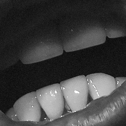 Trump Rants About Sharks, and Everyone Just Pretends It's Normal - The ...