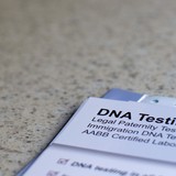 Kevin Noble Maillard, The Atlantic