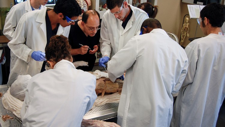 Meet the Necrobiome: The Waves of Microbes That Will Eat Your Corpse ...