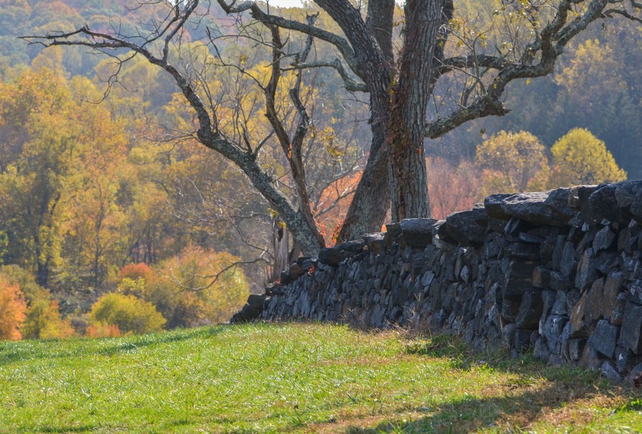 Delaware: Images of the First State - The Atlantic