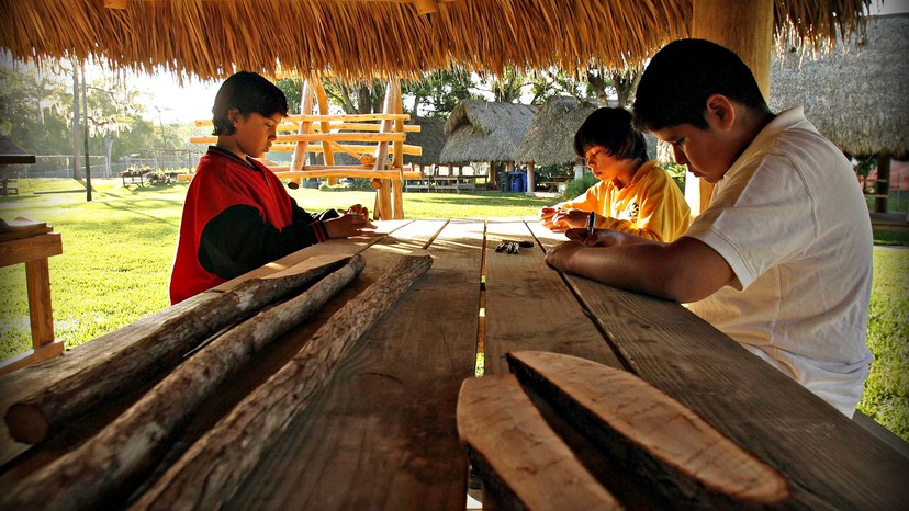 Tribal Changes: How the Education of American Indian and Alaska Native ...