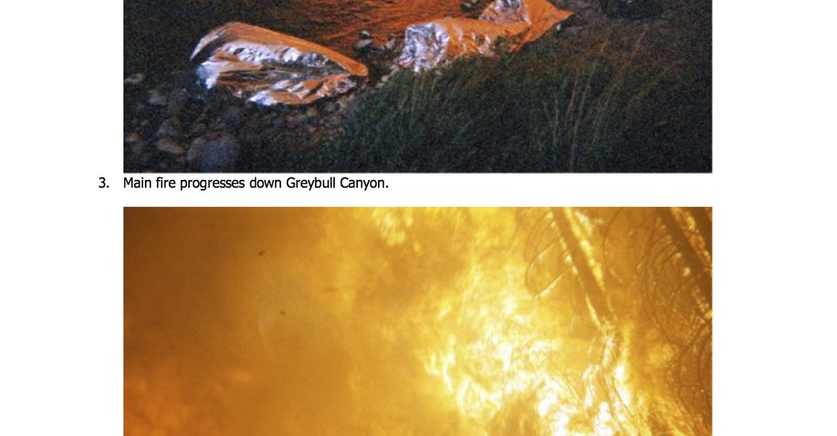 What It Feels Like to Lie Face Down and Let a Wildfire Burn Over You ...