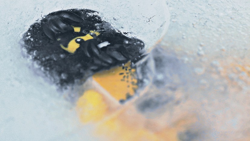 How to Freeze People and Bring Them Back to Life - The Atlantic