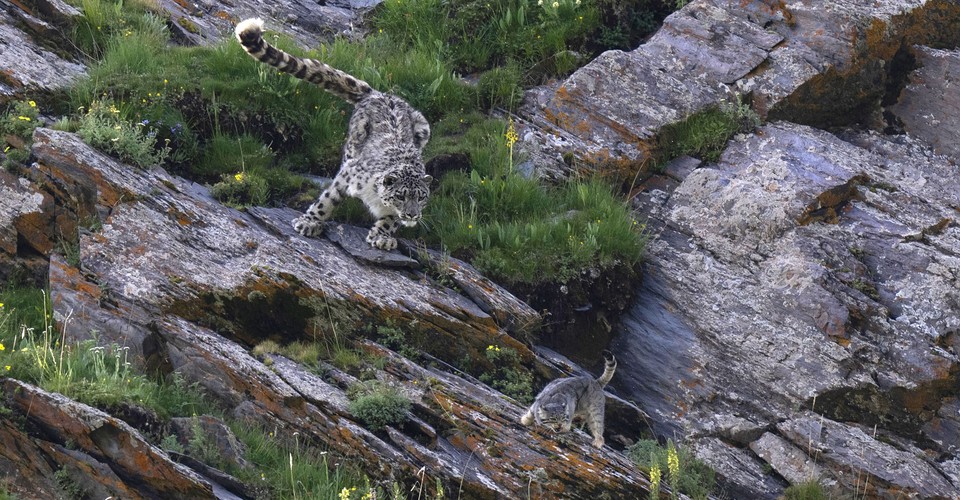 Winners of the 2023 BigPicture Natural World Photography Competition ...