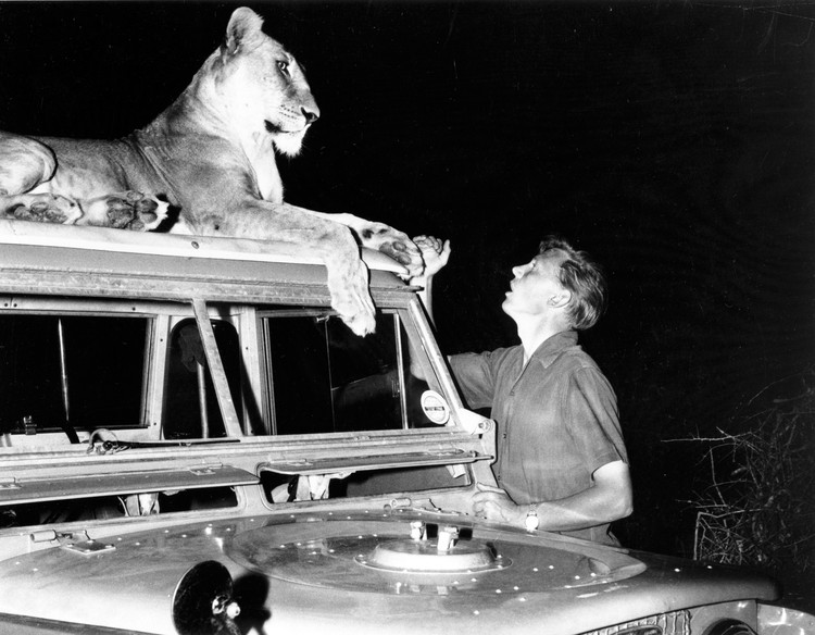 Every Episode of David Attenborough’s Life Series, Ranked - The Atlantic