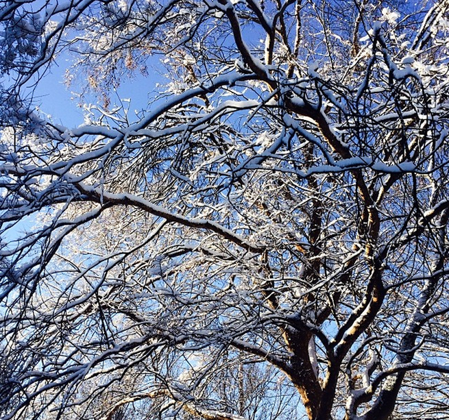 Our Favorite Blizzard Photos of 2014 - The Atlantic