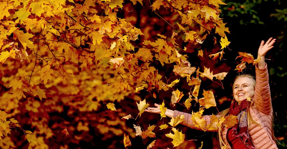 Fall Is in the Air: Images of the Season - The Atlantic