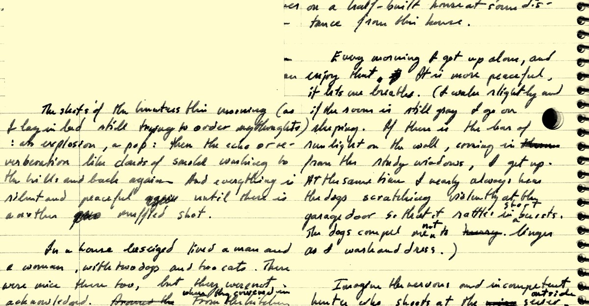 Lydia Davis’s Very Short Stories - The Atlantic