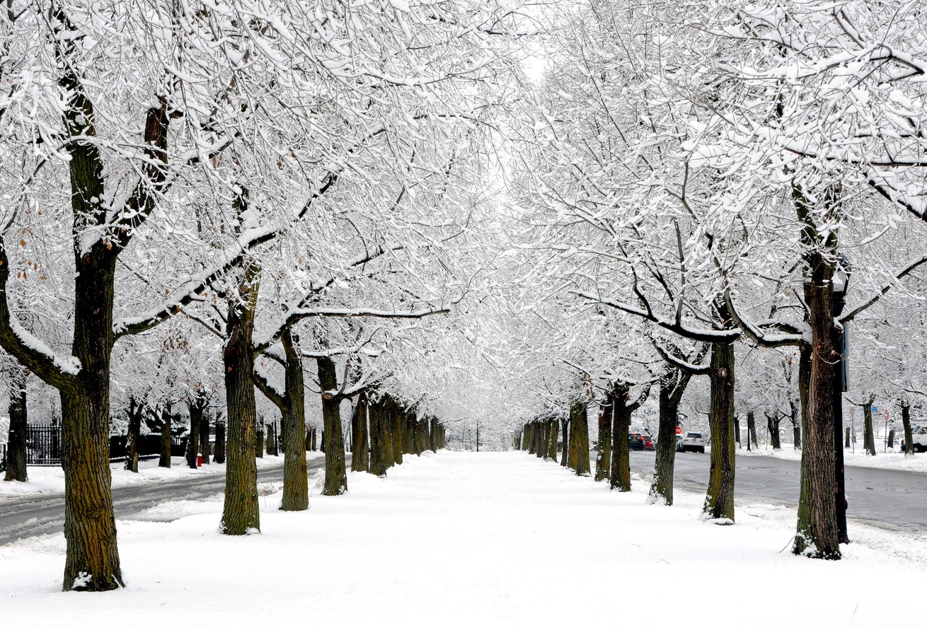 What Snow Days Mean to Adults - The Atlantic