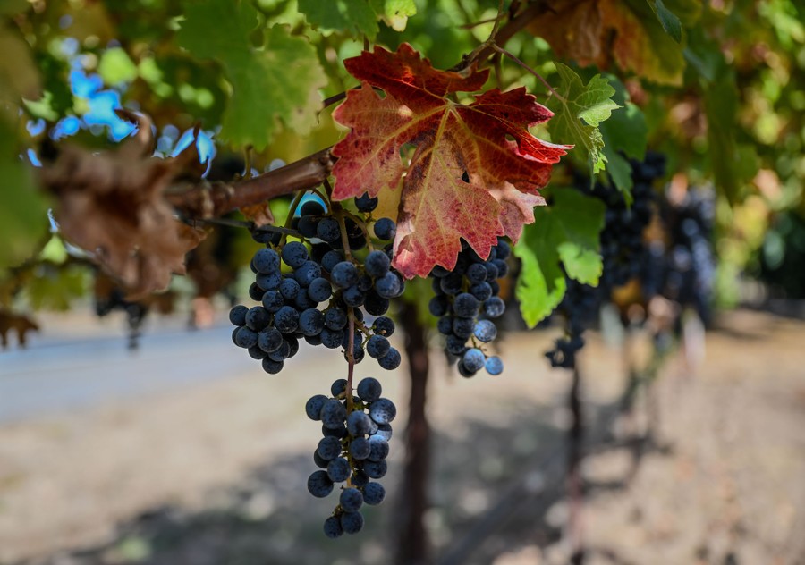 Fall Is in the Air: Images of the Season - The Atlantic