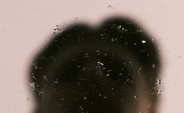 All Stories by Janelle Tan - The Atlantic