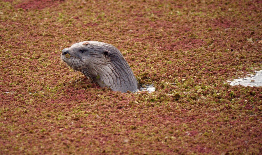 Delaware: Images of the First State - The Atlantic