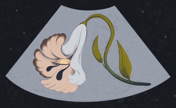 All Stories by Amy Webb - The Atlantic