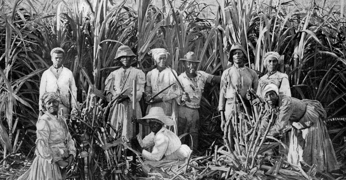 ‘These Ghosts Are Family’ Is Haunted by the Spirit of Colonialism - The ...