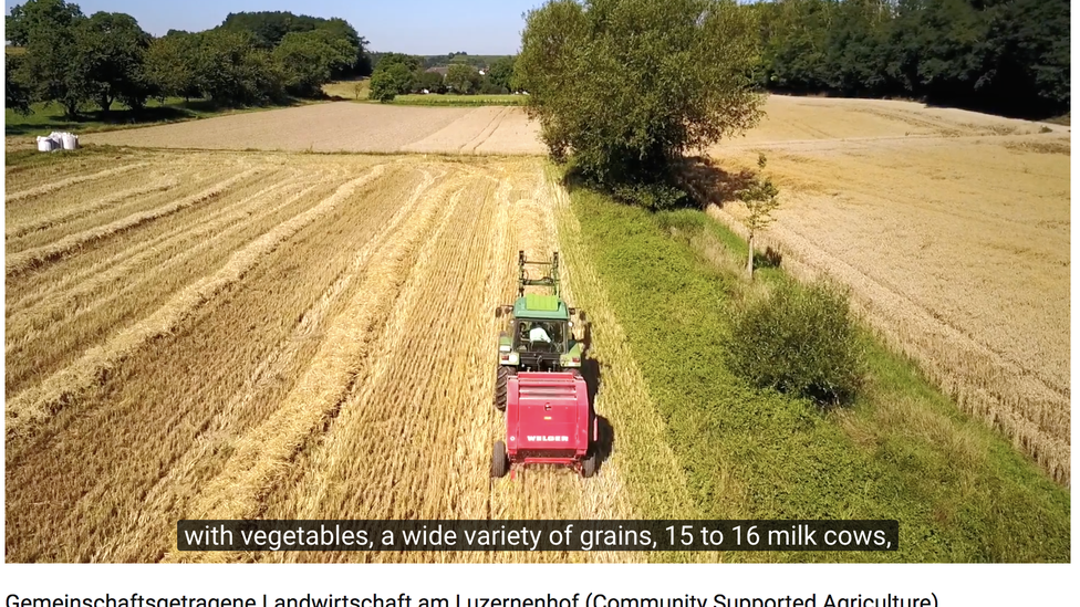 Can Non-Billionaires Make a Difference in Conservation? - The Atlantic