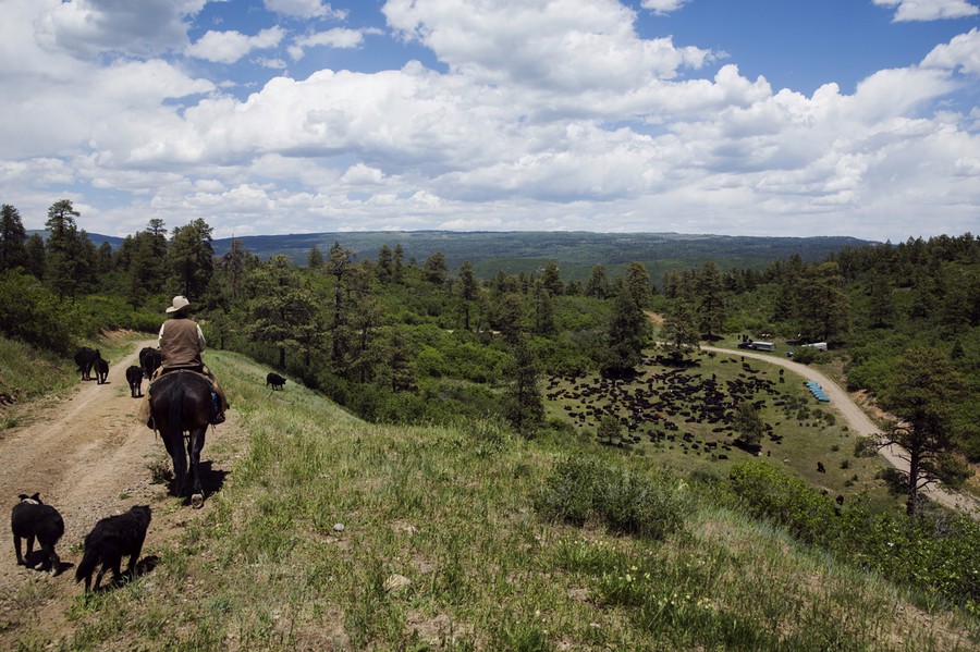 Sustainable Ranching in Colorado - The Atlantic