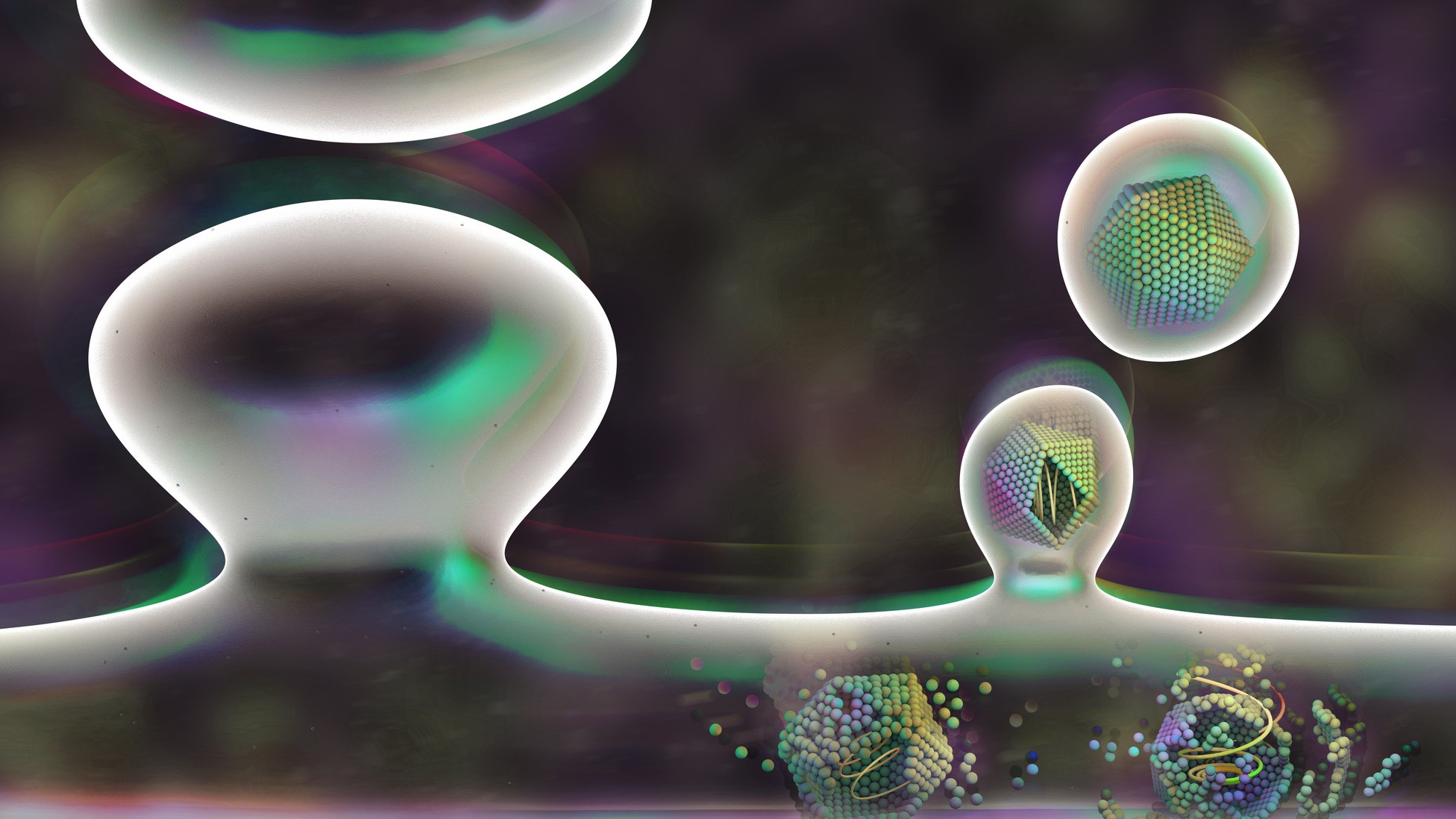 Brain Cells Share Information With Virus-Like Capsules - The Atlantic