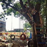 Timothy D. Walker, The Atlantic