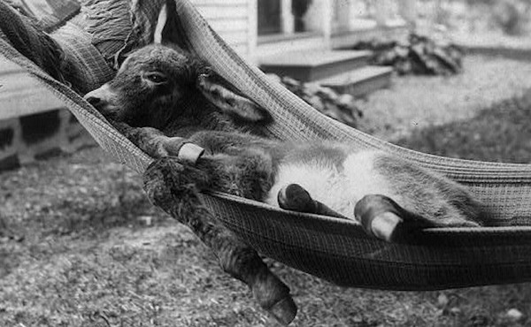 All Stories by Bruce David Forbes - The Atlantic