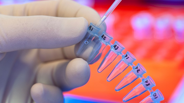 Failing Forward: The Slow Process of Searching for Cures - The Atlantic