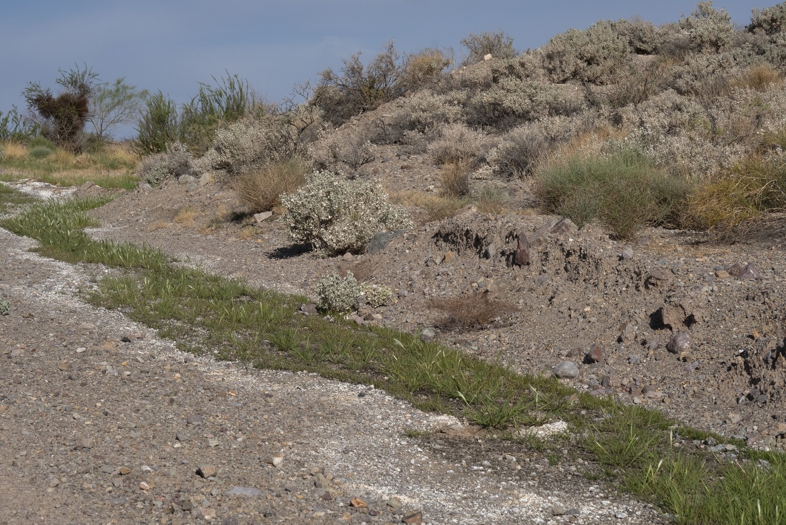 The Fight Over California’s Ancient Water - The Atlantic