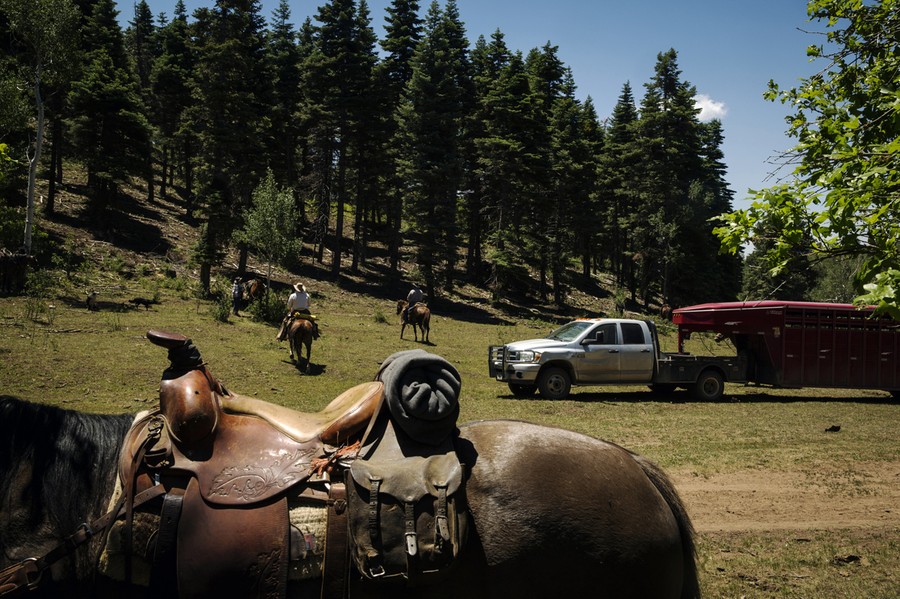 Sustainable Ranching in Colorado - The Atlantic