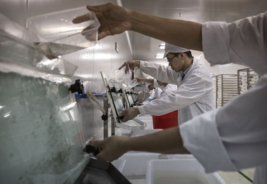 The World's Largest Mosquito Factory: Sun Yat-Sen University-Michigan ...