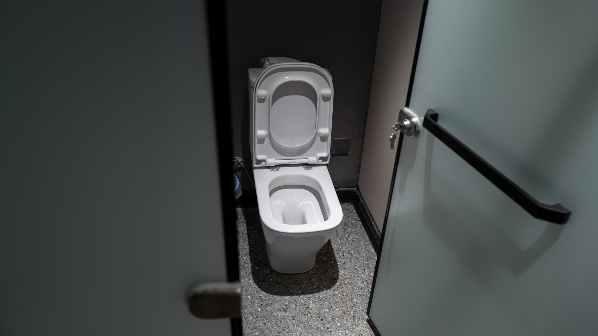 Beware the Lidless Toilet - The Atlantic