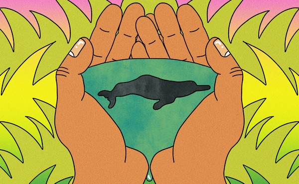 All Stories by Sushma Subramanian - The Atlantic