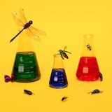 Kristina Rizga, The Atlantic