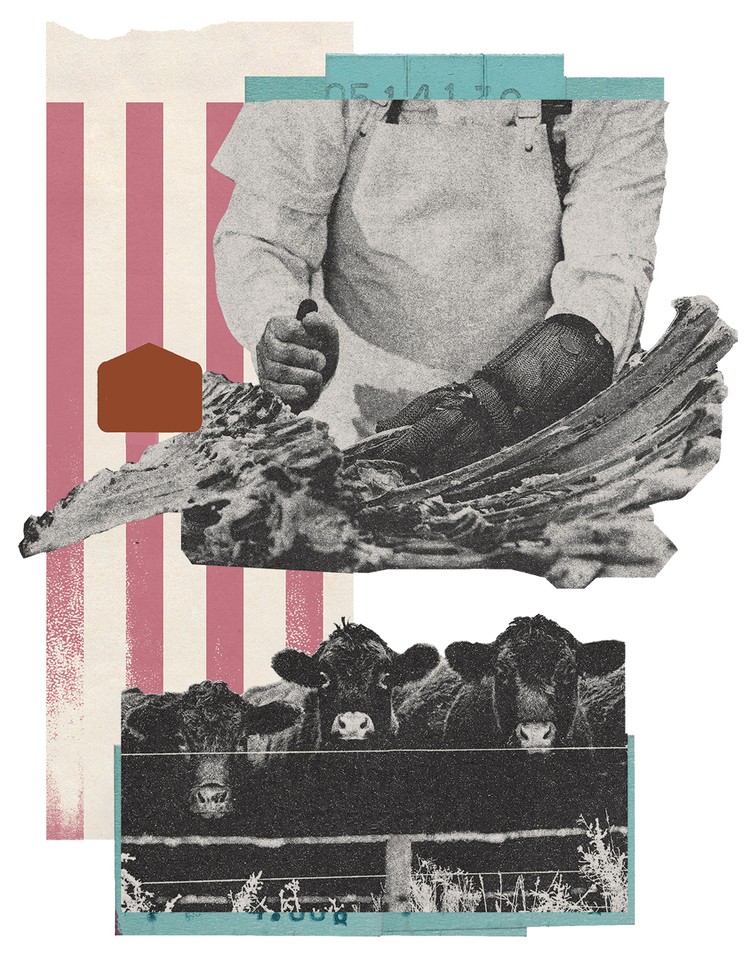 What It’s Like Inside the Cargill Meatpacking Plant in Dodge City - The ...