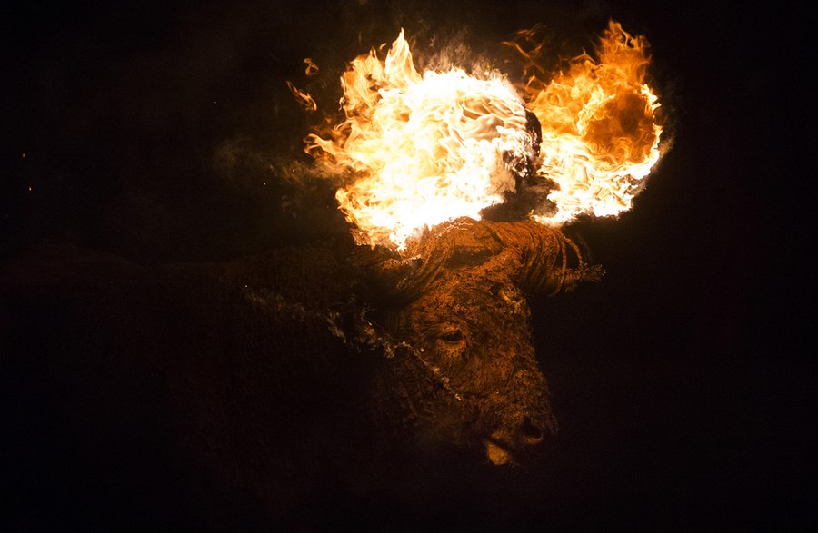 Toro de Jubilo, the Fire Bull Festival - The Atlantic