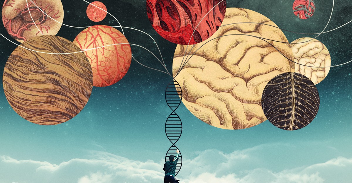 The Science of Genes and Heredity Is Constantly Changing - The Atlantic