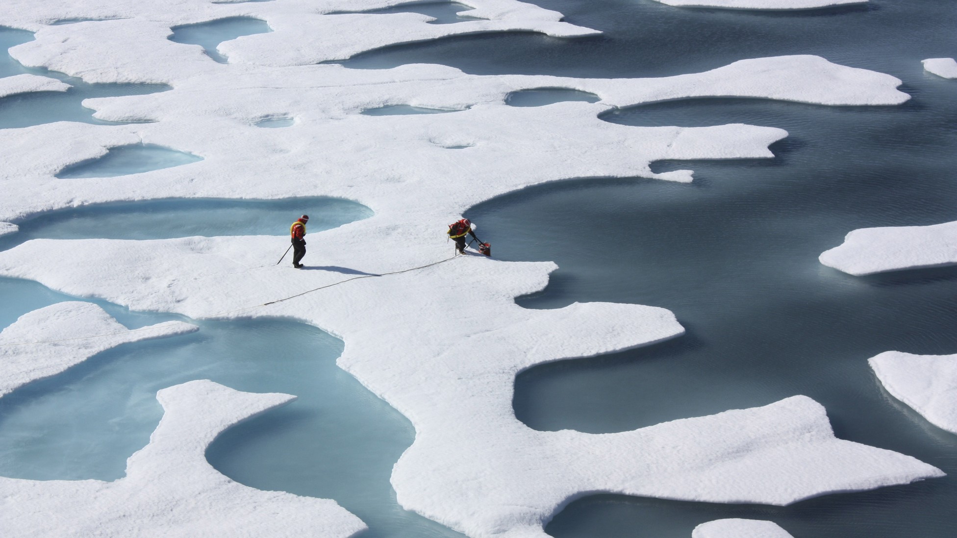 Sea Ice Retreat Could Lead to Rapid Overfishing in the Arctic - The ...