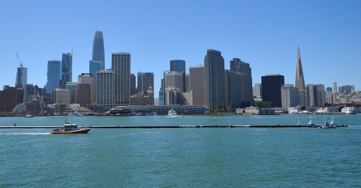 Readers Respond: The Ocean Cleanup Project Could Destroy the Neuston ...