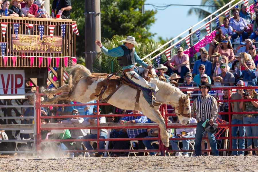 Florida: Images of the Sunshine State - The Atlantic
