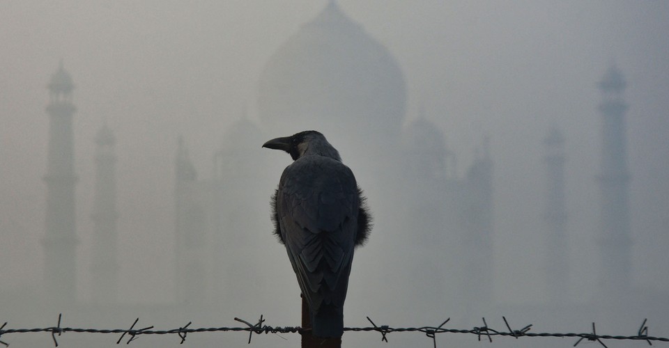Photos: What Record-Breaking Pollution Looks Like From India And ...