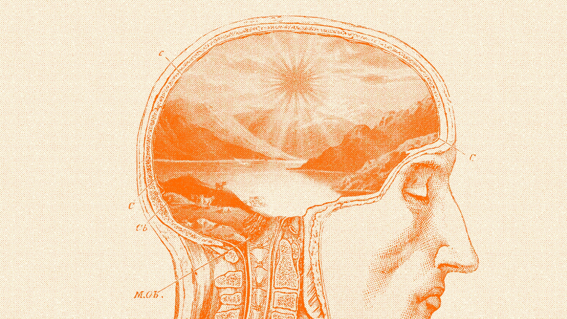 What Does ‘Genius’ Really Mean? - The Atlantic