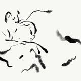 Alan Shapiro, The Atlantic