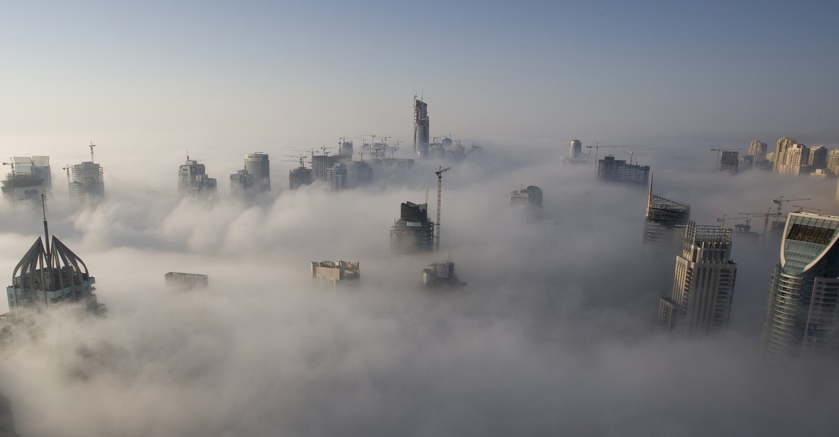 How Evolution's Innovations Can Help Scientists Yank Water Out of the ...