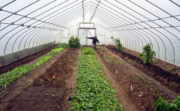 All Stories by Erik Reece - The Atlantic