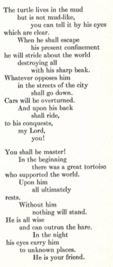 William Carlos Williams Poems: “The Turtle” - The Atlantic